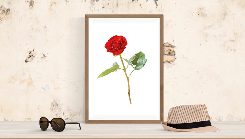 Stylized Red Rose Wall Art Printable, Red Rose Poster, Digital Print ...