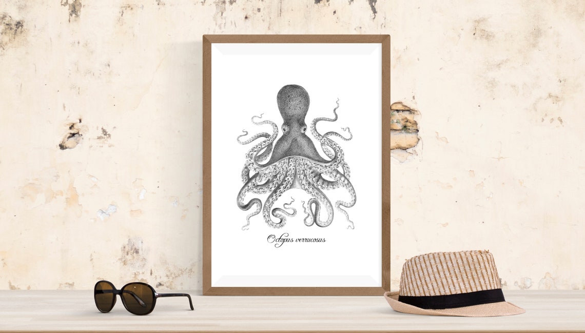 Vintage Octopus Wall Art Printable Octopus Poster Historical | Etsy