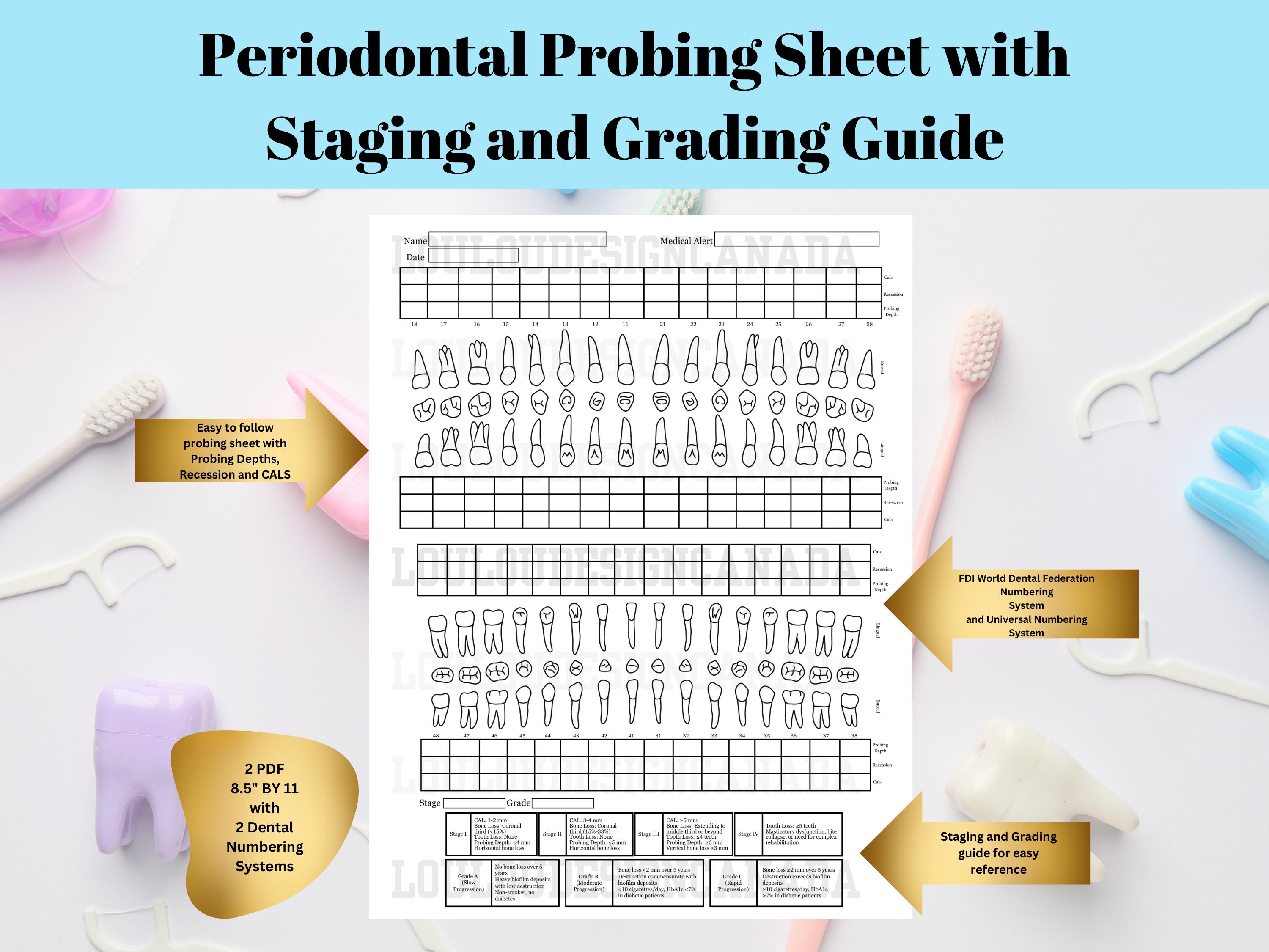 Periodontal Grading Staging Sheet | Dental Hygiene Perio Chart ...