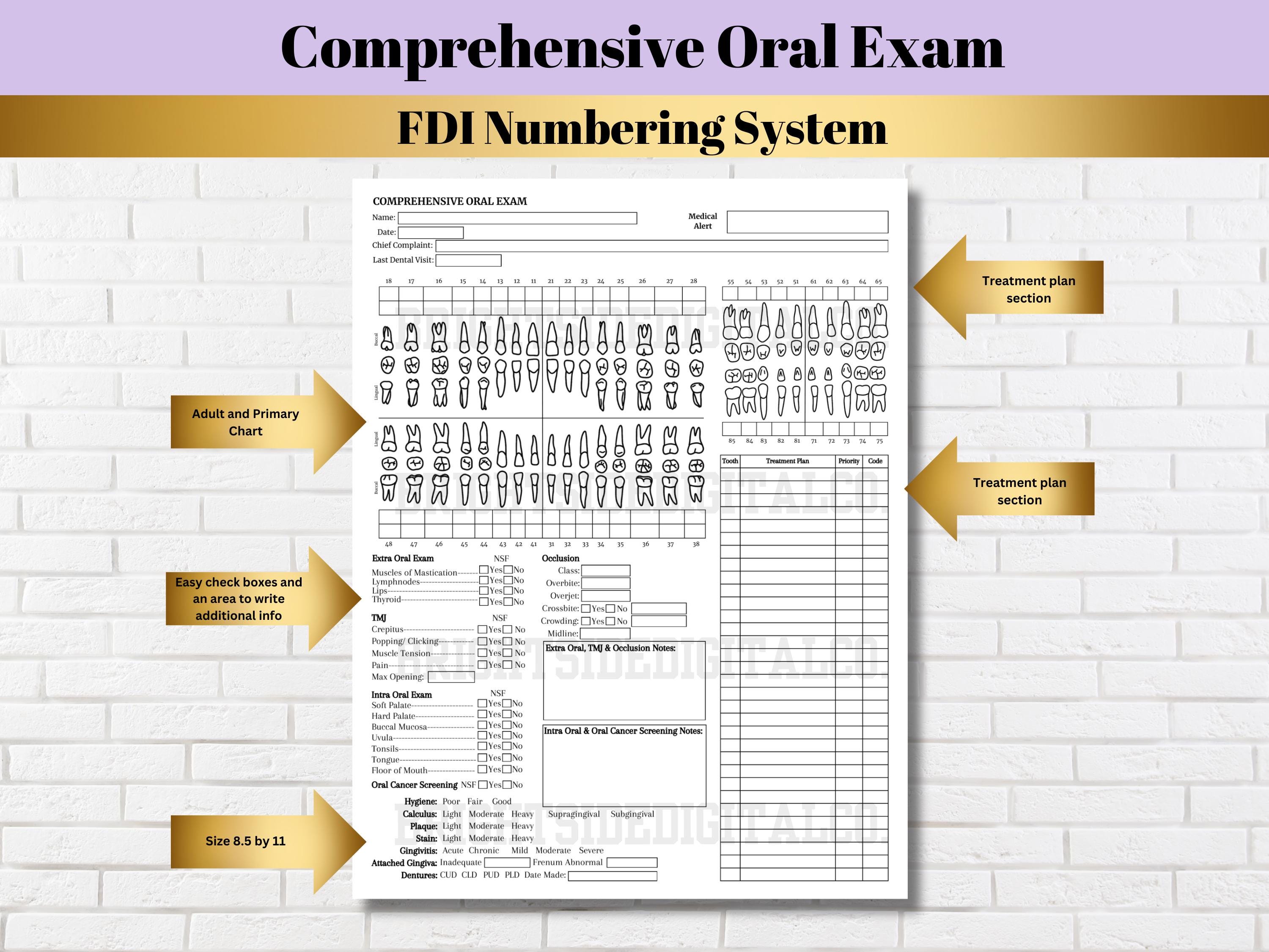 Dental Exam Form | Complete Oral Exam Template | Dentist Charting ...