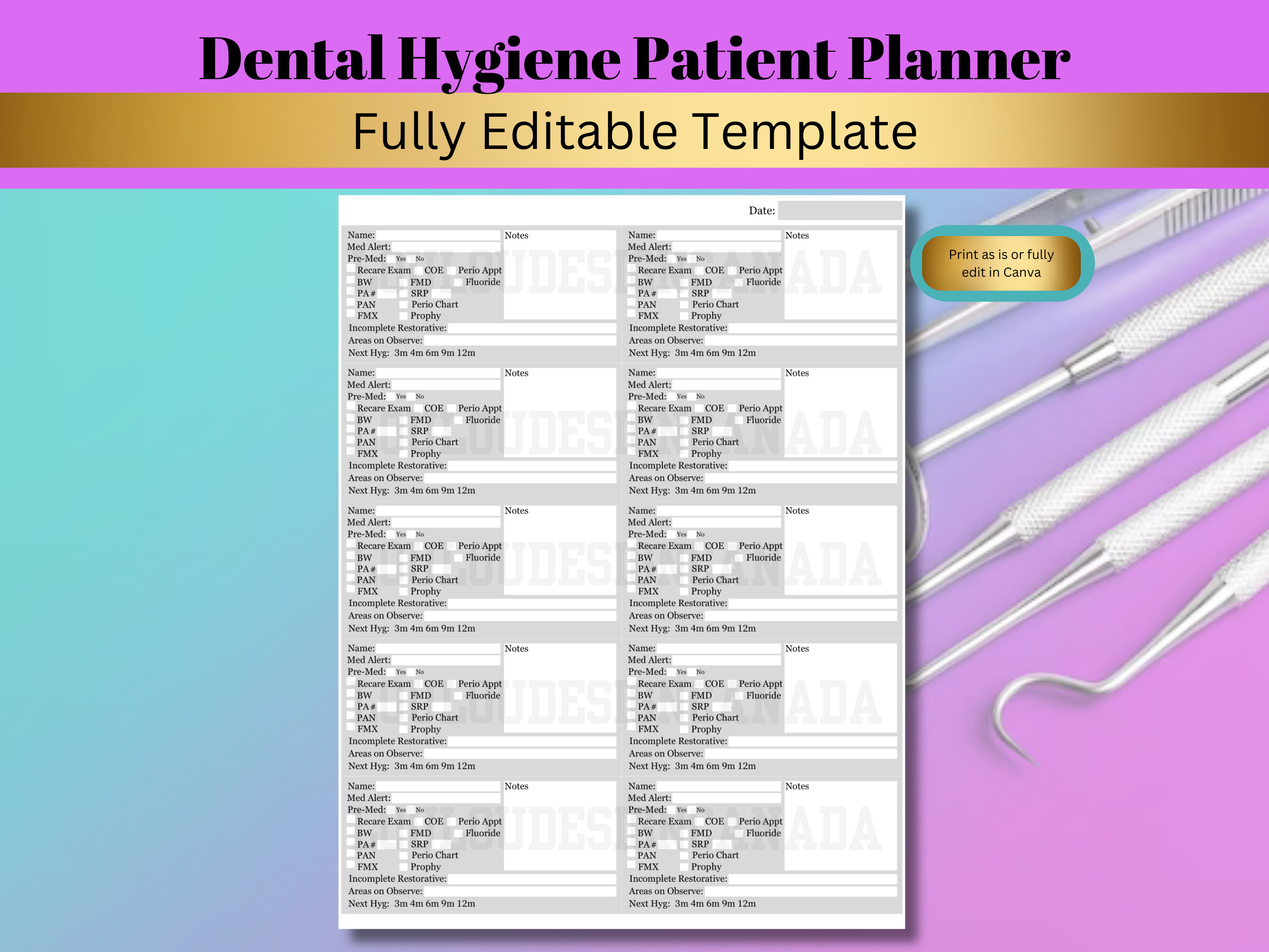 Dental Hygiene Patient Treatment Planner | Editable Dental Template ...