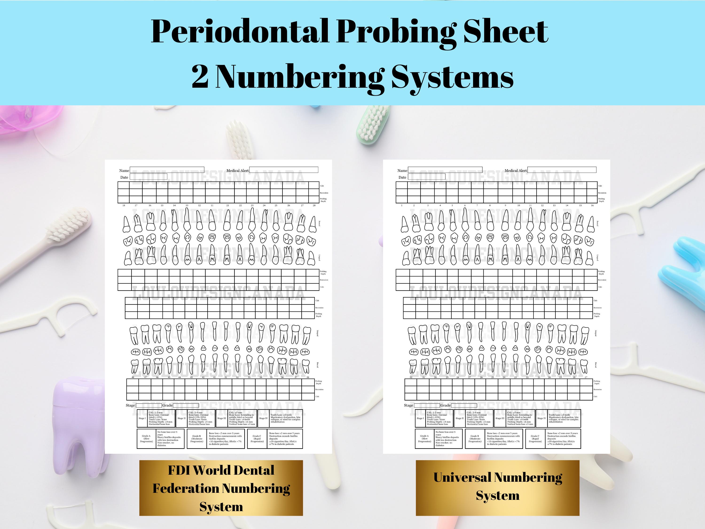 Periodontal Grading Staging Sheet | Dental Hygiene Perio Chart ...