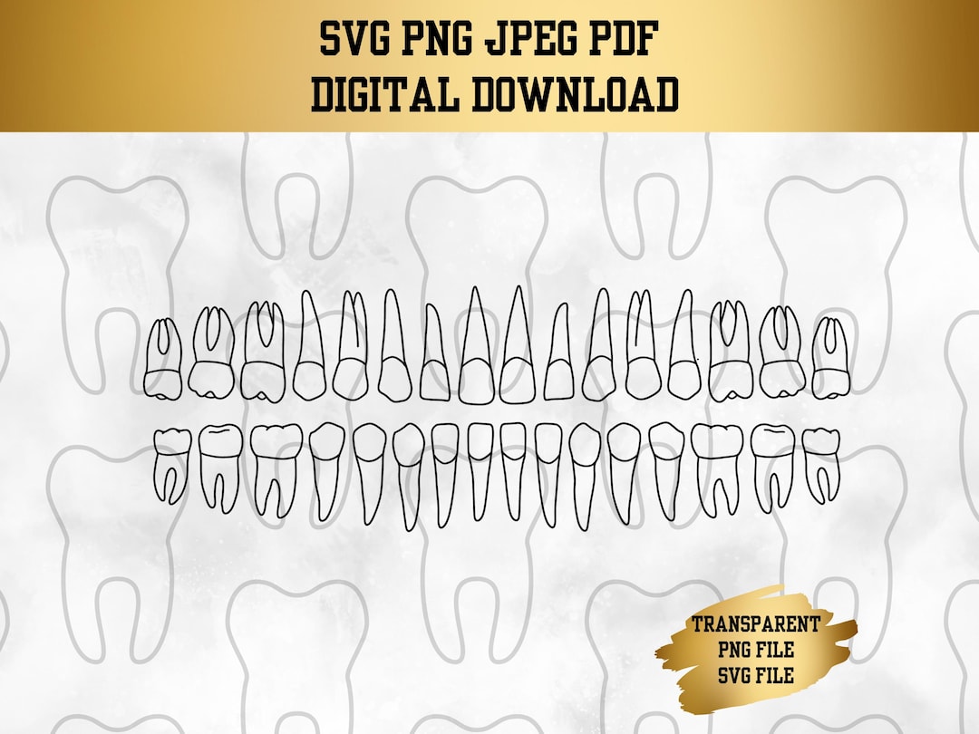 Dental Teeth SVG | Full Dental Arch PNG | Dentist JPG | Cut File Cricut ...