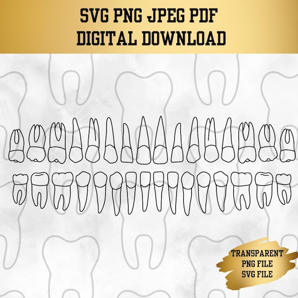 Tooth Svg - Etsy