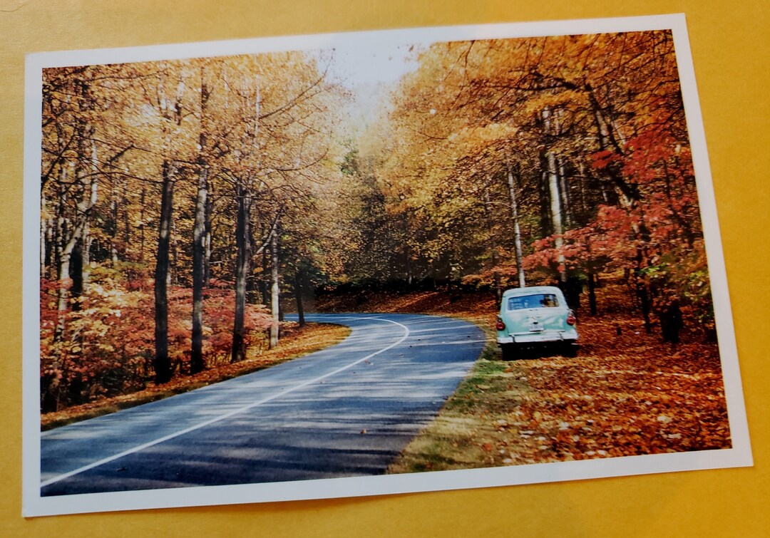 Autumn Beauty Stunning Fall Colors 1950s Era Vintage Reprints 2 From ...