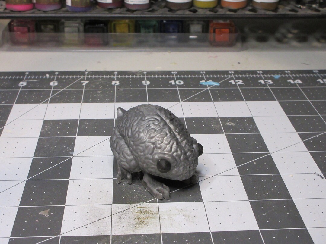Brain Frog - Graphite - Resin Collectible Art Toy - Etsy