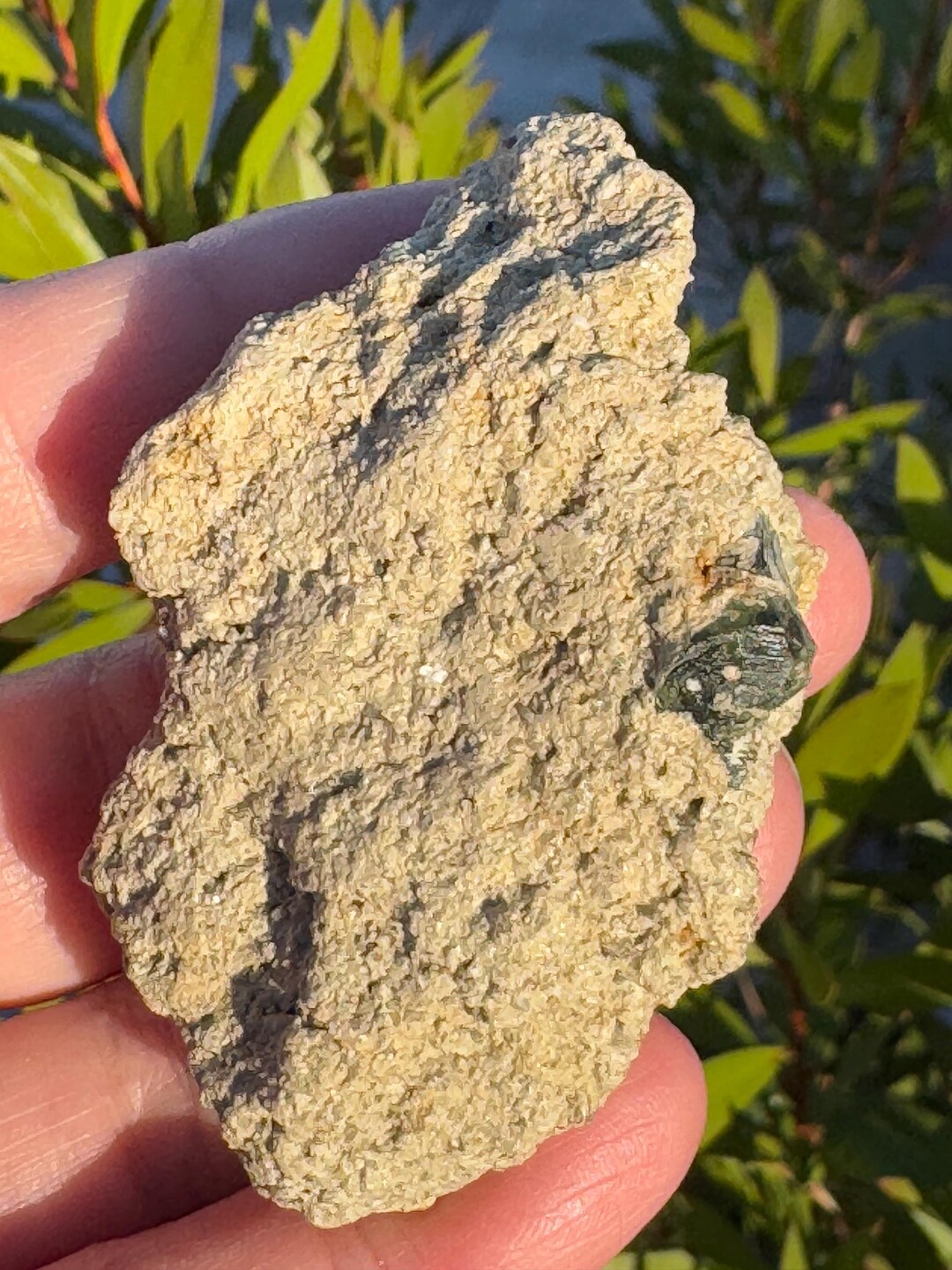 Genuine Nesmen Hurka Moldavite in Matrix From Czech Republic- Rare ...