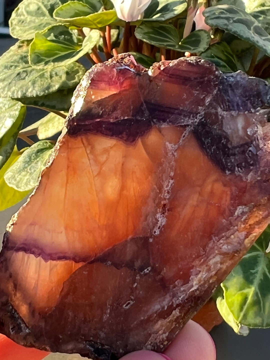 Beautiful Rare Blue John Fluorite Slab From Derbyshire From England ...