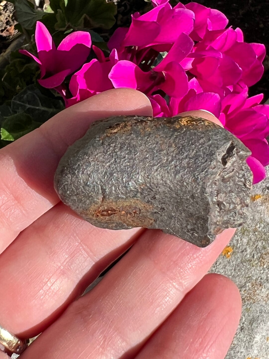 Meteorite Chondrite 30 Grams Space Stone From Morocco Meteorite Space ...