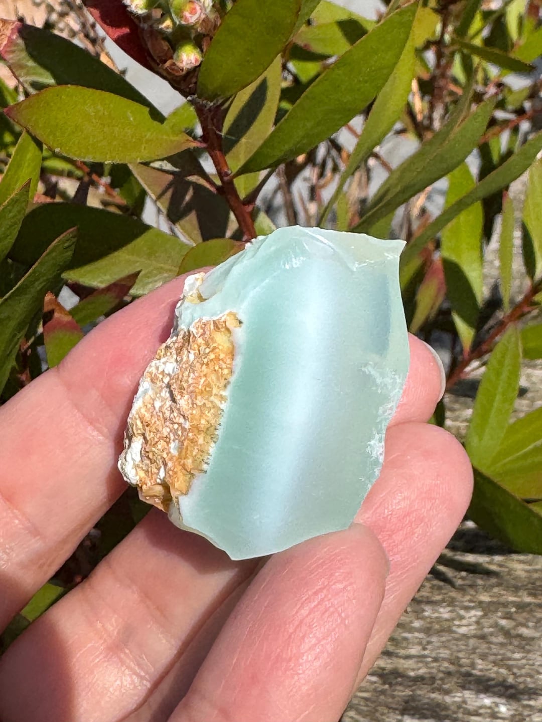 Rare Macedonian Opal Raw Crystal Rock- Healing Crystal- Gifts- Chakra ...