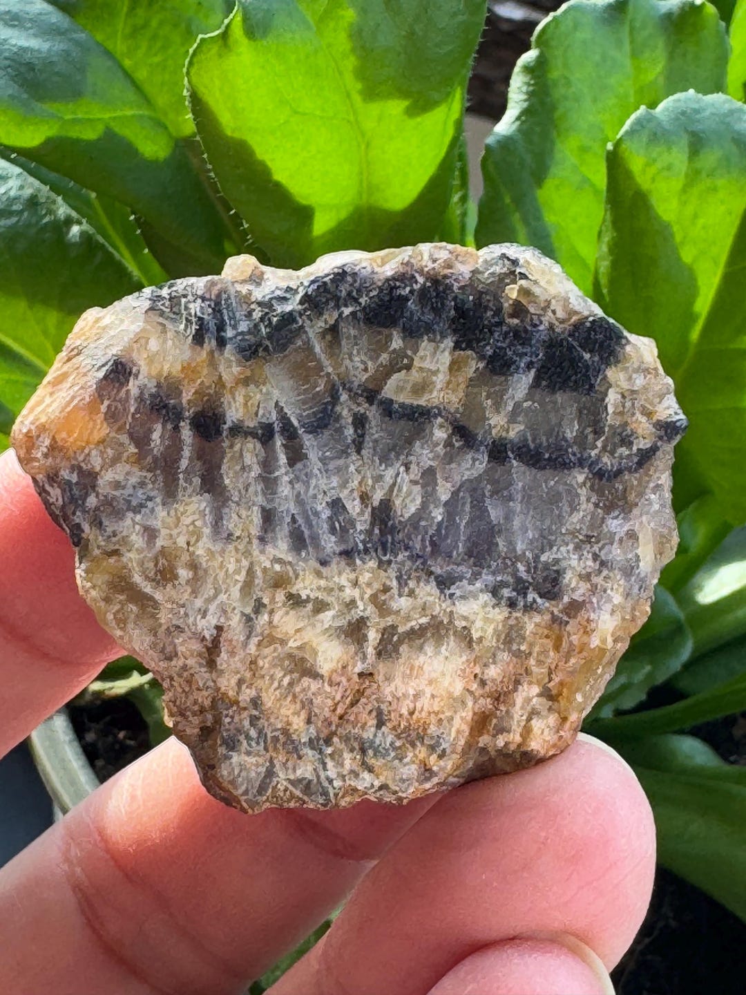 Rare Blue John Fluorite on Matrix Slab From Derbyshire Healing Blue ...