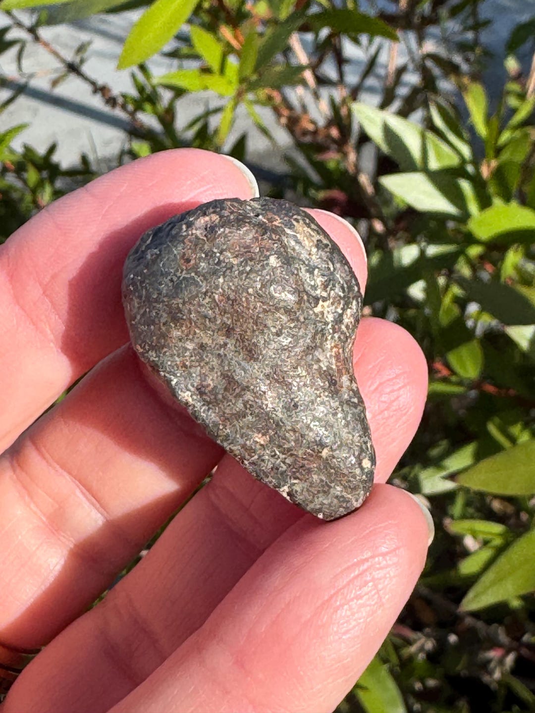 Meteorite Chondrite - Stone From the Space- Talisman From the Space ...