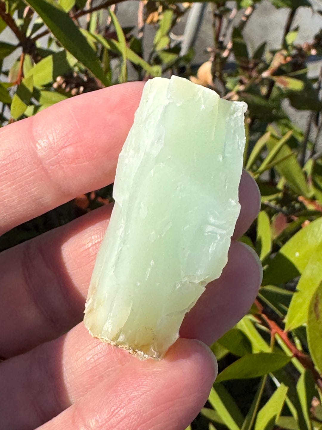 Rare Green Macedonian Opal Small Crystal Rock - Healing Crystals ...