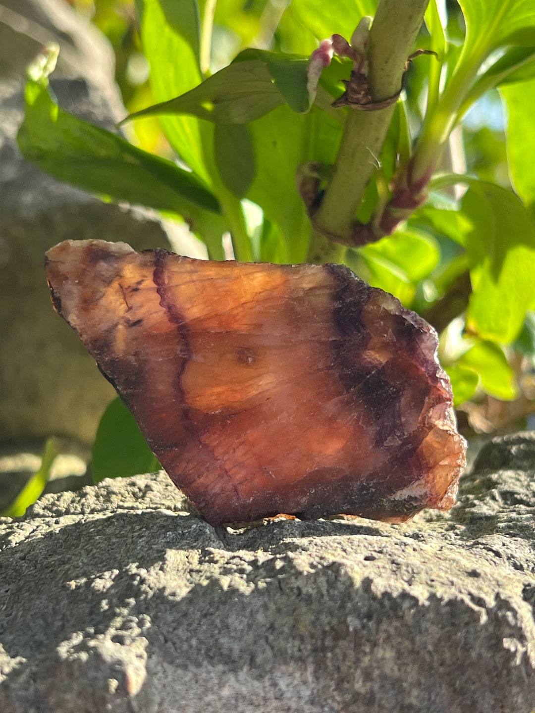 Rare Blue John Fluorite Slab From Derbyshire Healing Blue John Slice ...