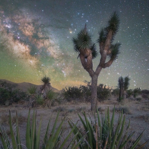 Penguin Rock Milky Way Joshua Tree National Park Night Sky - Etsy