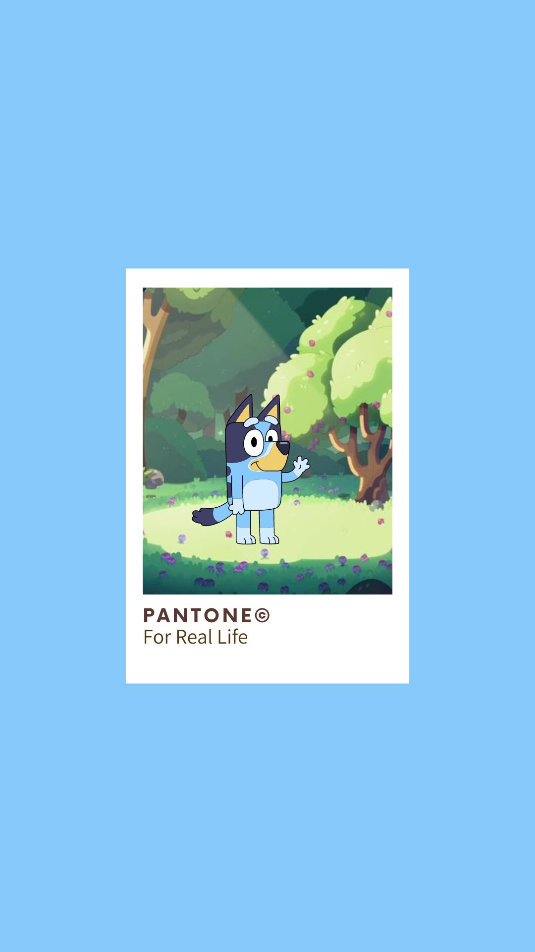 Bluey Wallpaper Pantone Cute Blue Dog Cartoon Phone Wallpaper - Etsy ...