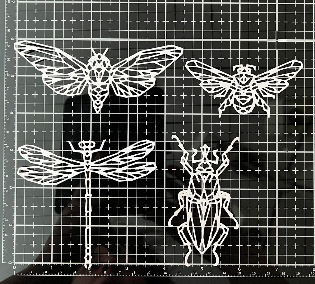 Bugs Die Cut Outs Cardstock - Etsy