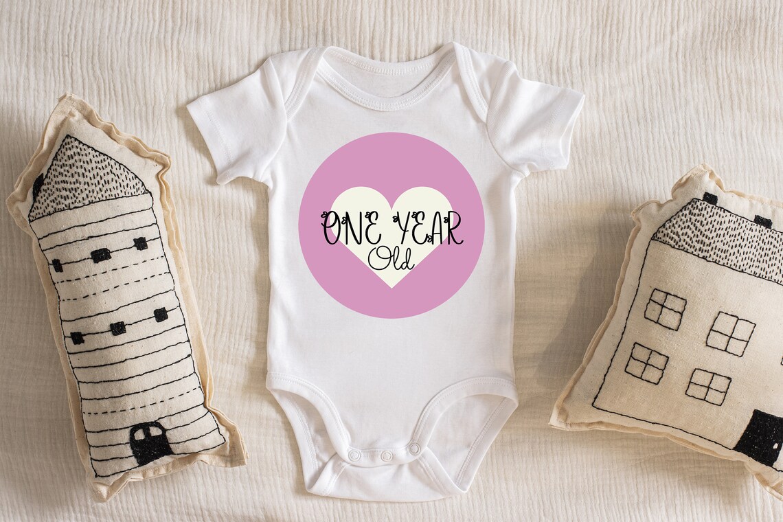 Monthly Milestone Onesies, One Month Bodysuit, First Birthday, 12 ...