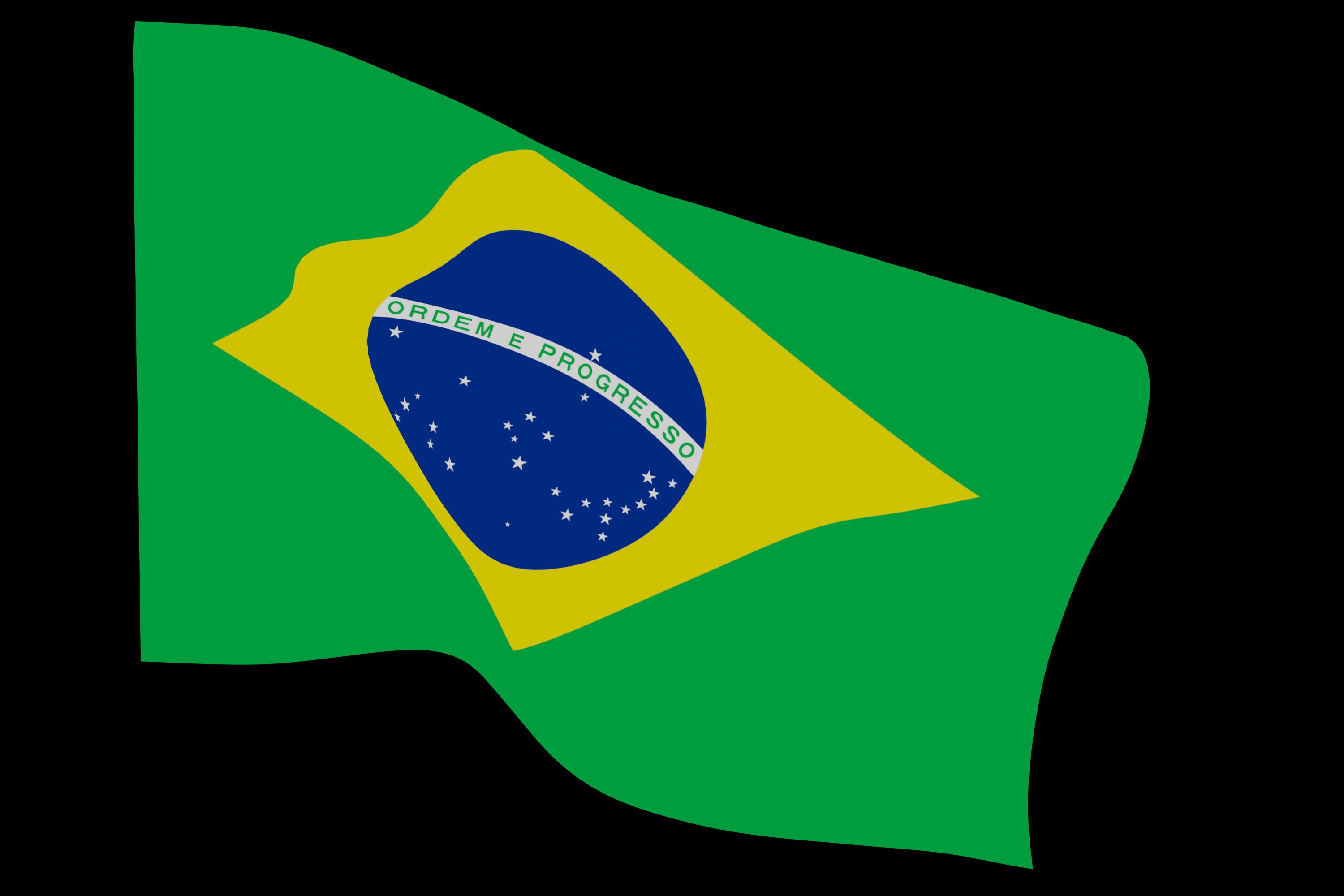 Brazilian Flag Brazil SVG Vector Graphic Stencil - Etsy