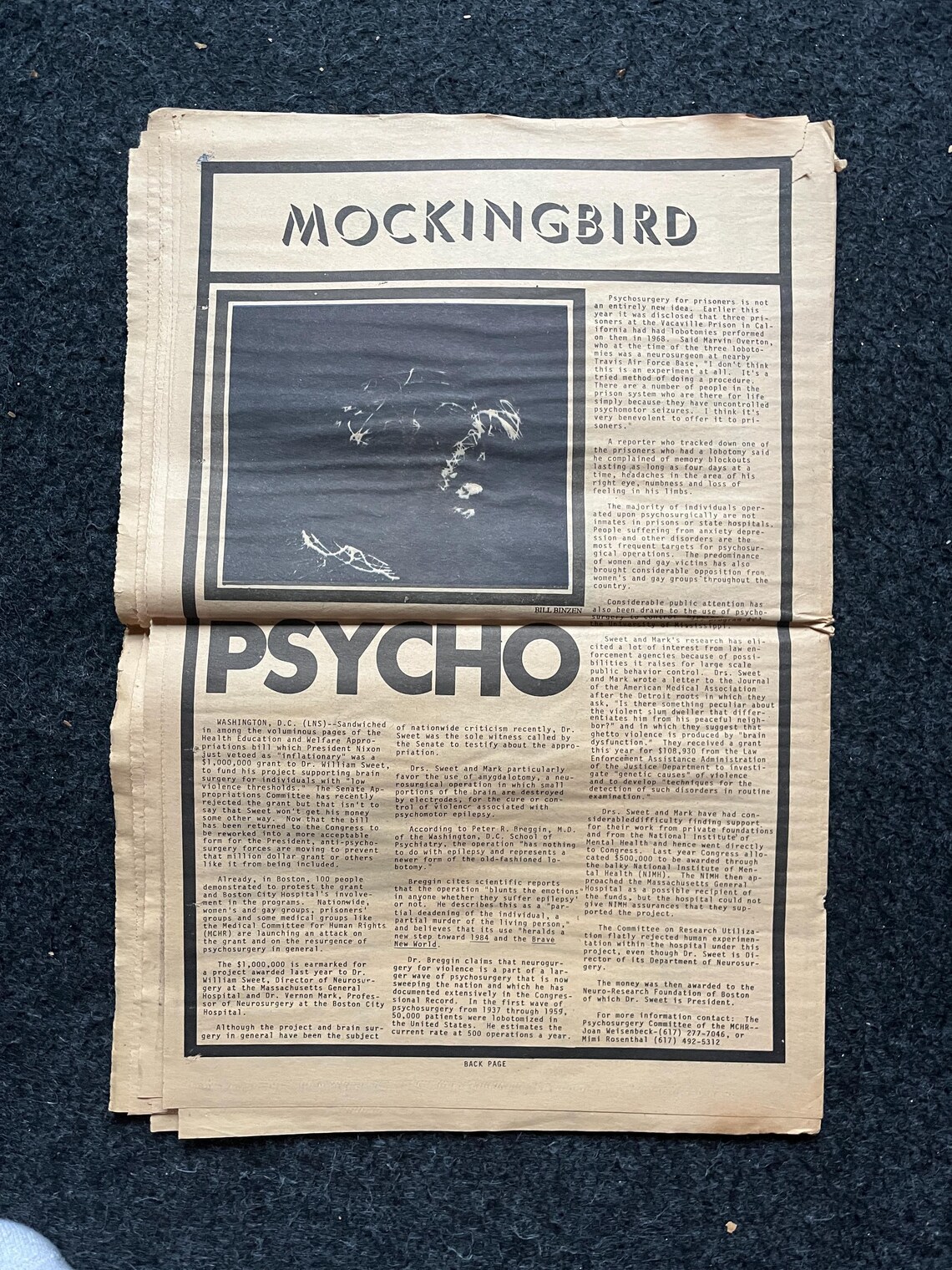 1970s Houston Texas Underground Newspaper the Mockingbird, Houston Far ...
