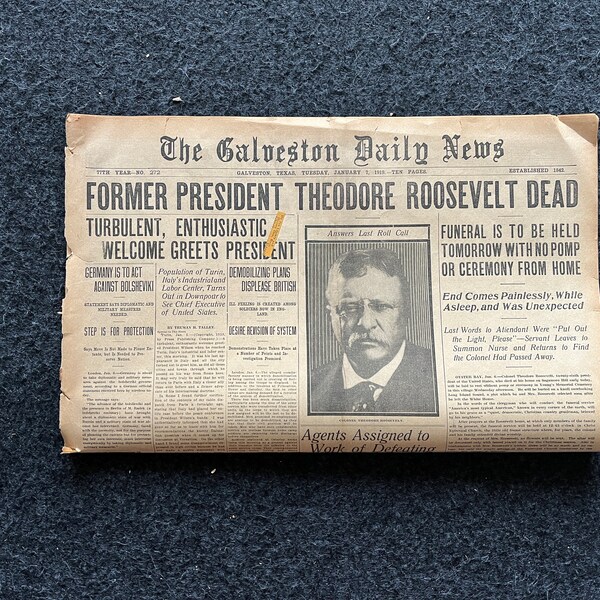 Teddy Roosevelt - Etsy
