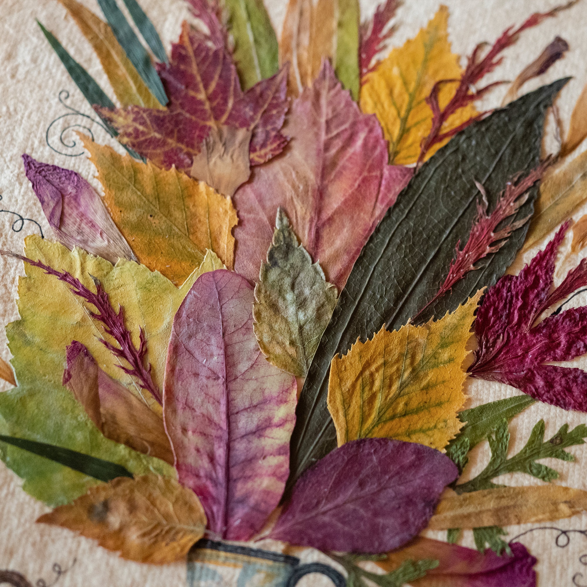 Original Pressed Leaves and Illustration Collage. Still Life and Leaves ...
