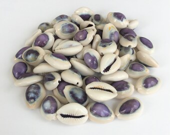 Purple Cowrie Shells - Etsy