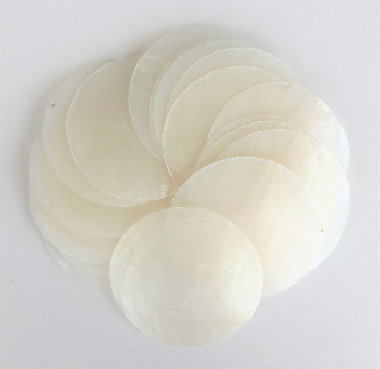 Capiz Shell Seashells Shells Craft Shells Shells Coastal - Etsy