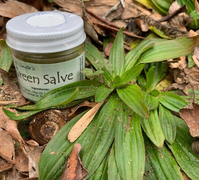 Green Salve - Etsy