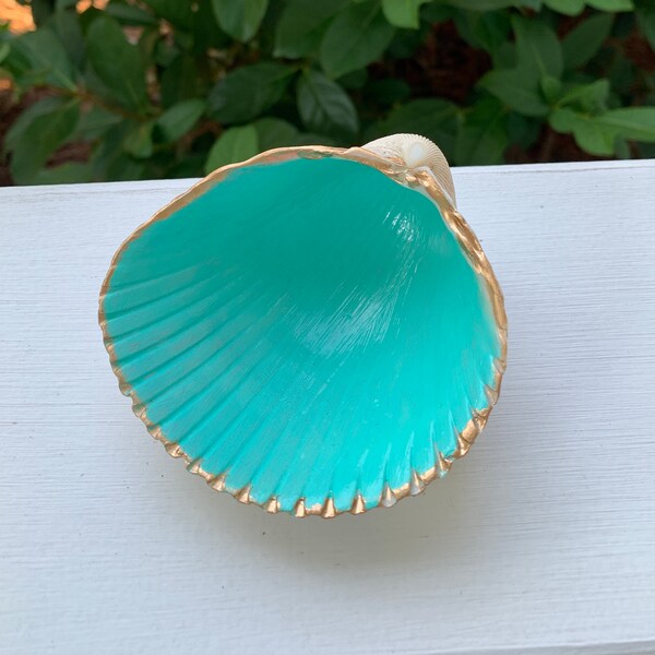 Hand Painted Shells - Etsy