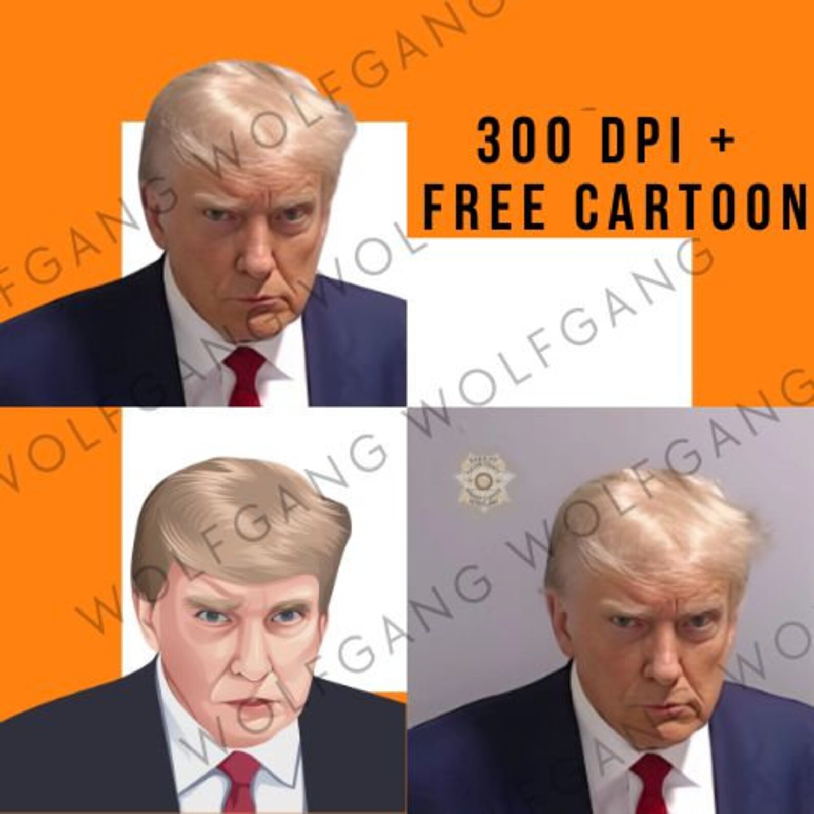 UPGRADED Trump Mugshot 300 Dpi PNG High Resolution Files With and ...