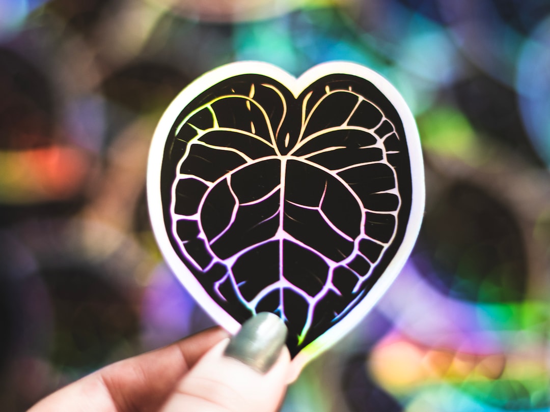 Holographic Anthurium Sticker// Anthurium Clarinervium Plant Vinyl ...