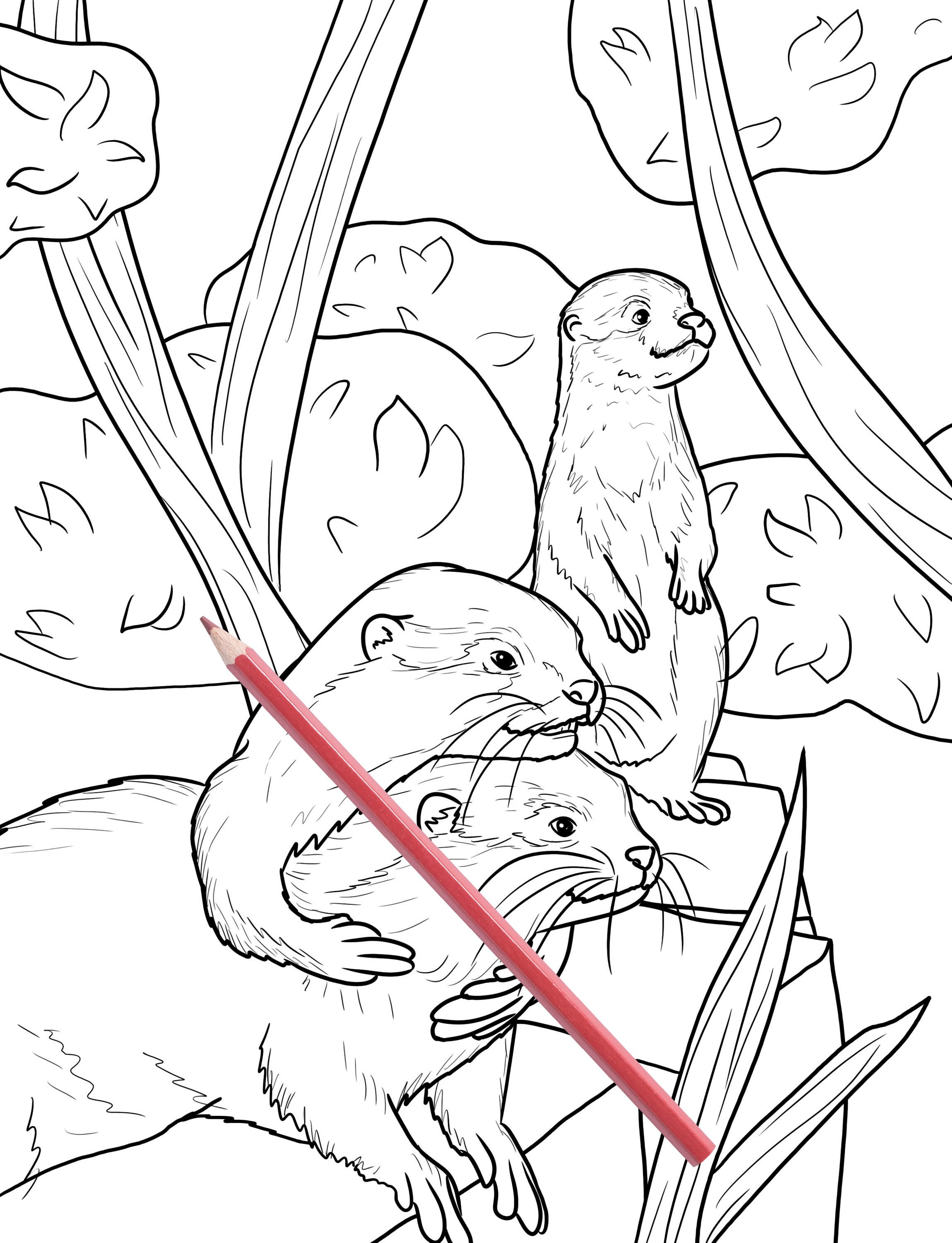 Otter Coloring Book 30 Digital Coloring Sheets Otter Gifts | Etsy