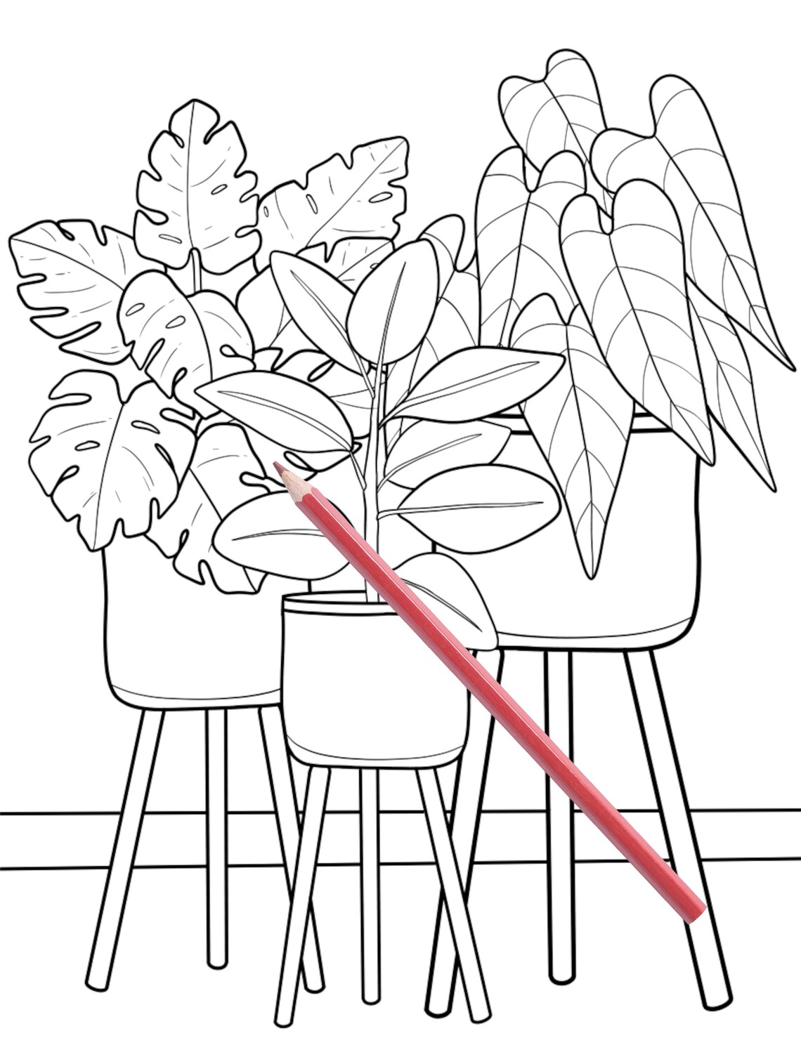 Houseplant Coloring Book House Plant Gift Plant Lover Plant - Etsy