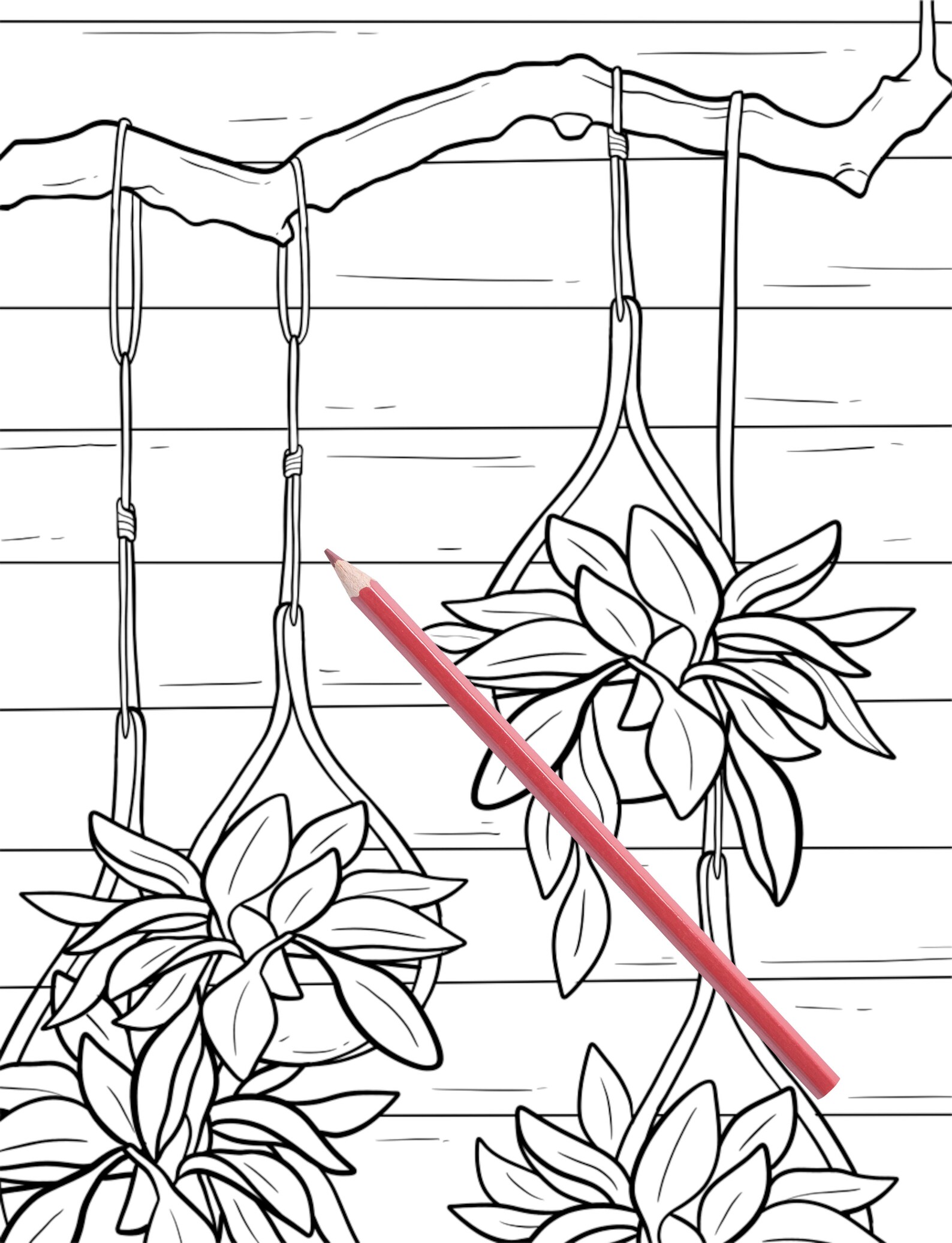 Houseplant Coloring Book House Plant Gift Plant Lover Plant - Etsy