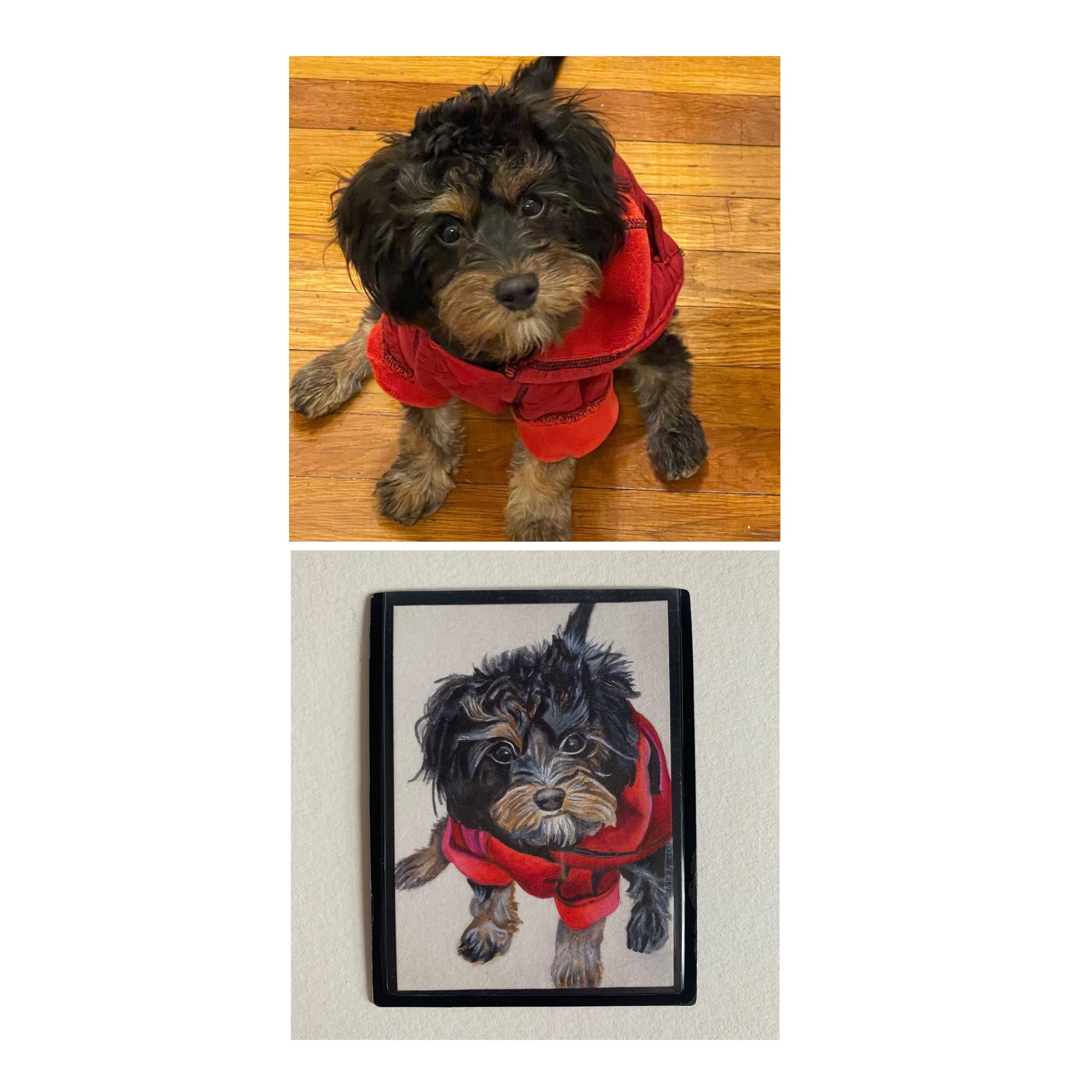 Custom Pet Magnet Custom Dog Magnet Custom Cat Magnet - Etsy