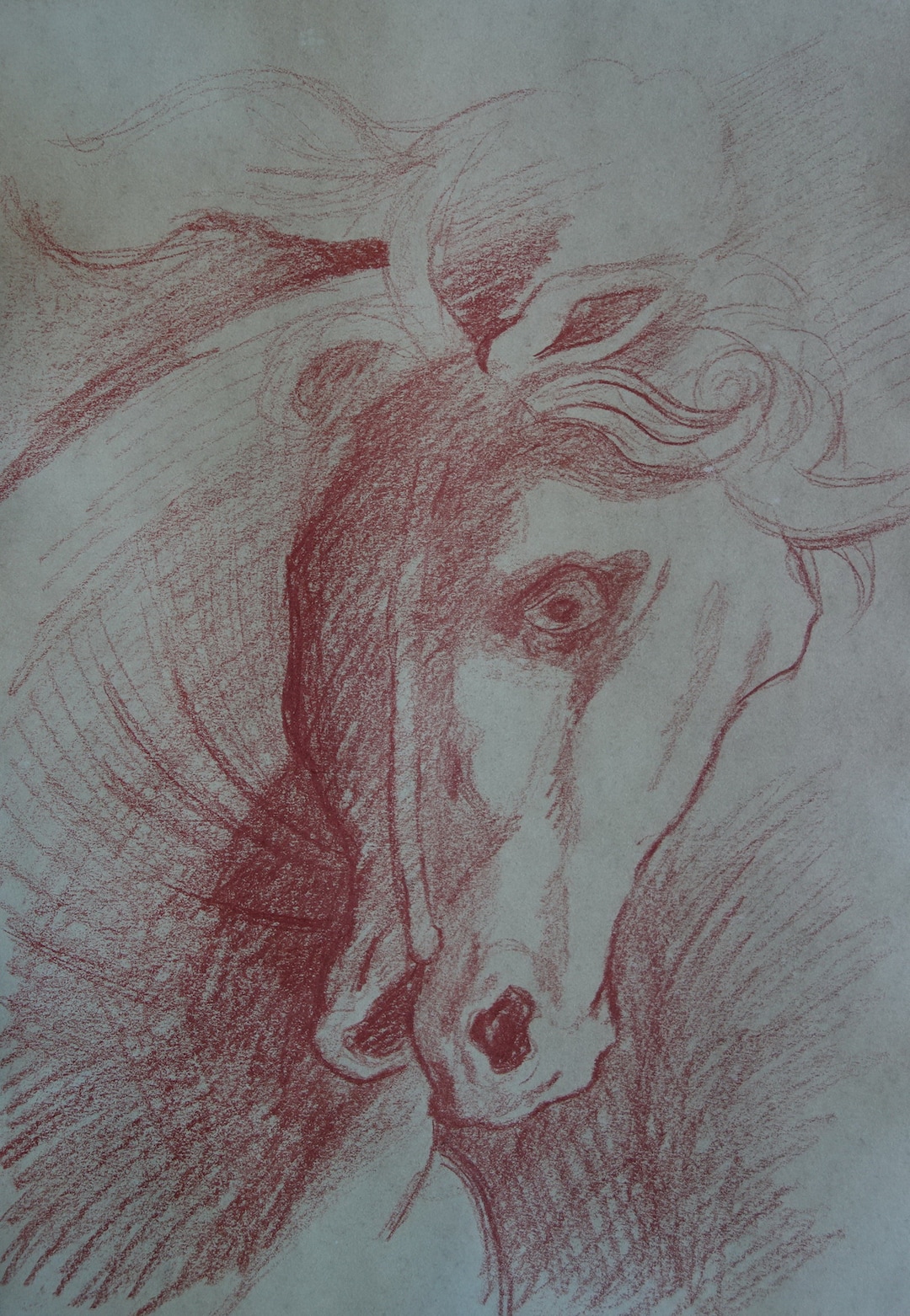 European Old Master Drawing Horse Charcoal Figure Study - Etsy