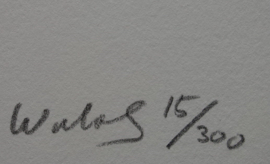 Fine POP ART Dollar Bill Limited Edition Silkscreen Serigraph - Etsy