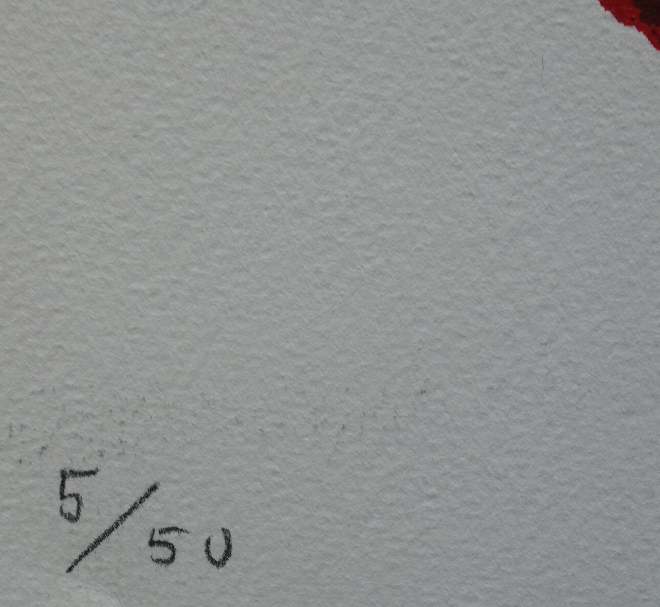 Fine Modern Limited Edition Flower Silkscreen Serigraph, Signed, Warhol ...