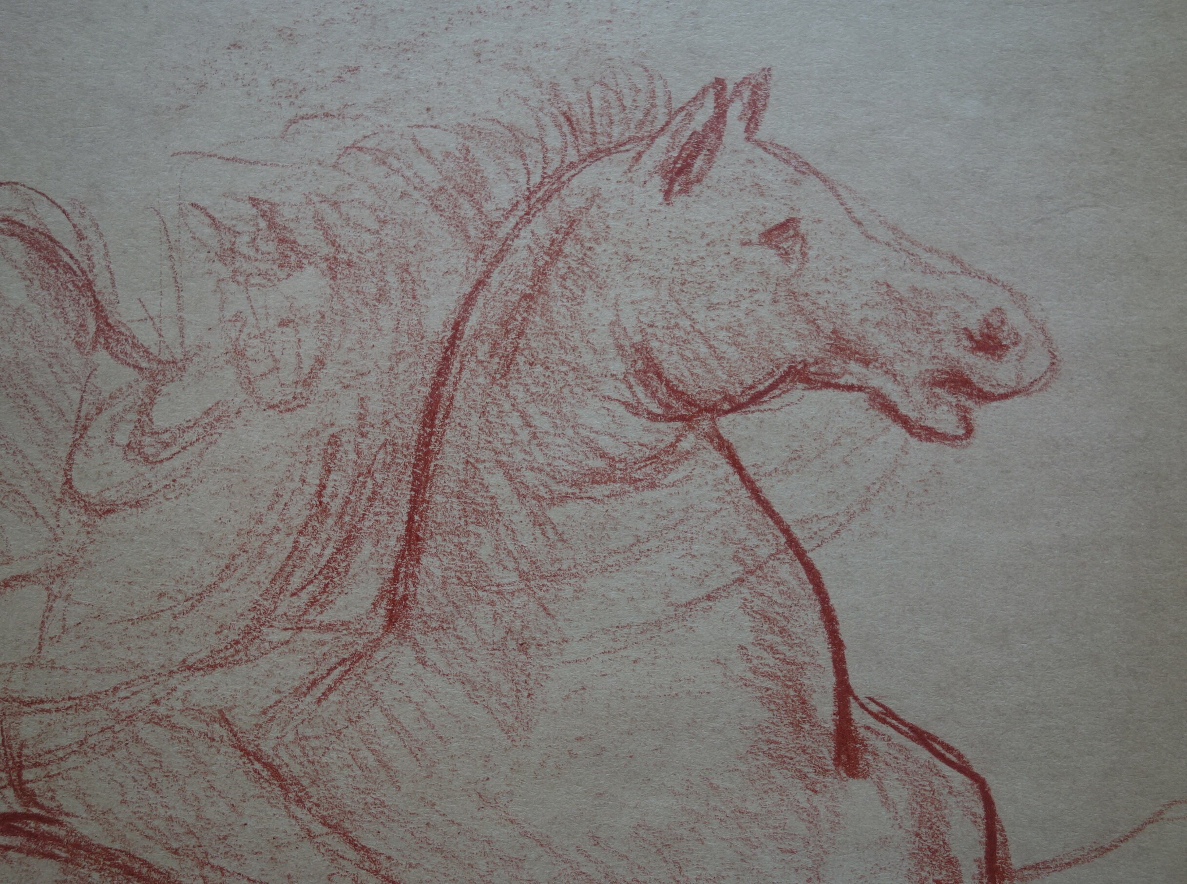European Old Master Drawing, Horse, Charcoal Figure Study, Fine Art - Etsy