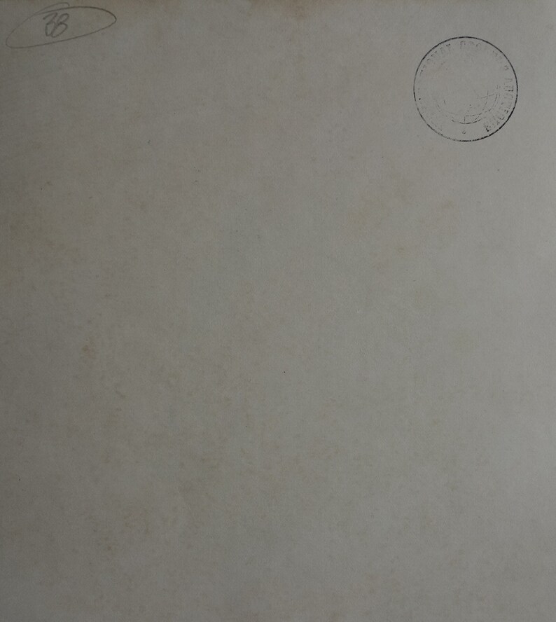 Vintage Cartoon Walt Disney Character Study Drawing Cat - Etsy