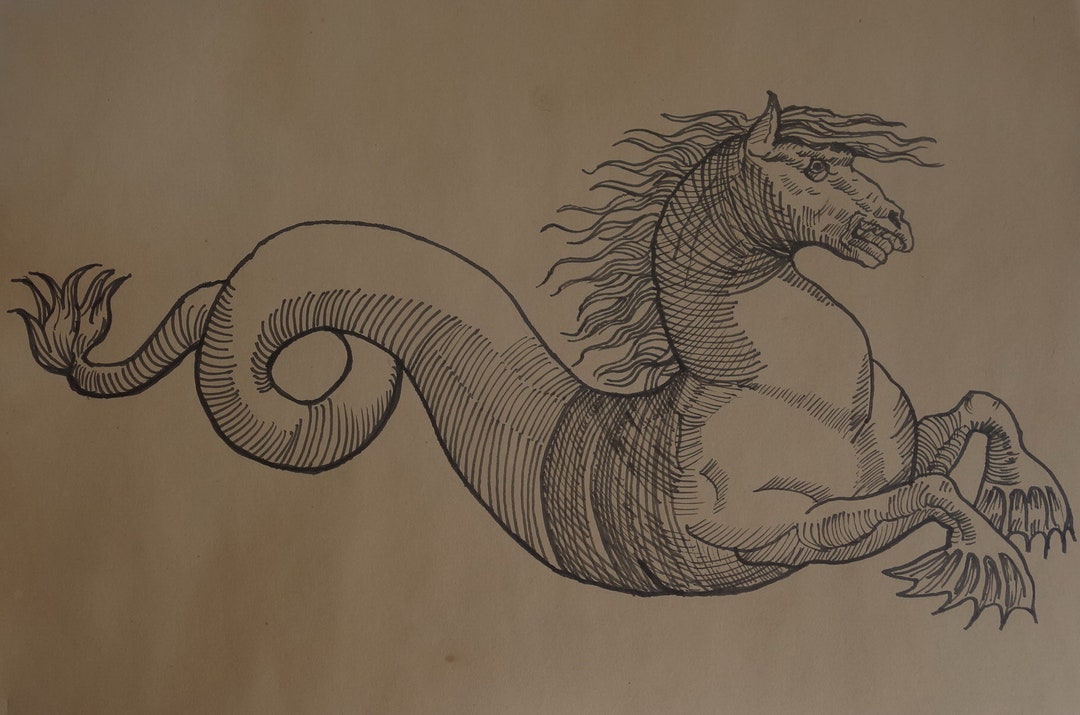European Old Master Drawing, Water Mythology - Seahorse Animal ...