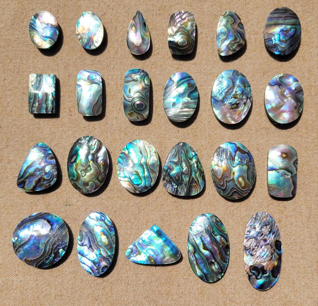 1 Piece Abalone/paua Shell Freeform Flat Back Gemstone Cabochon ...