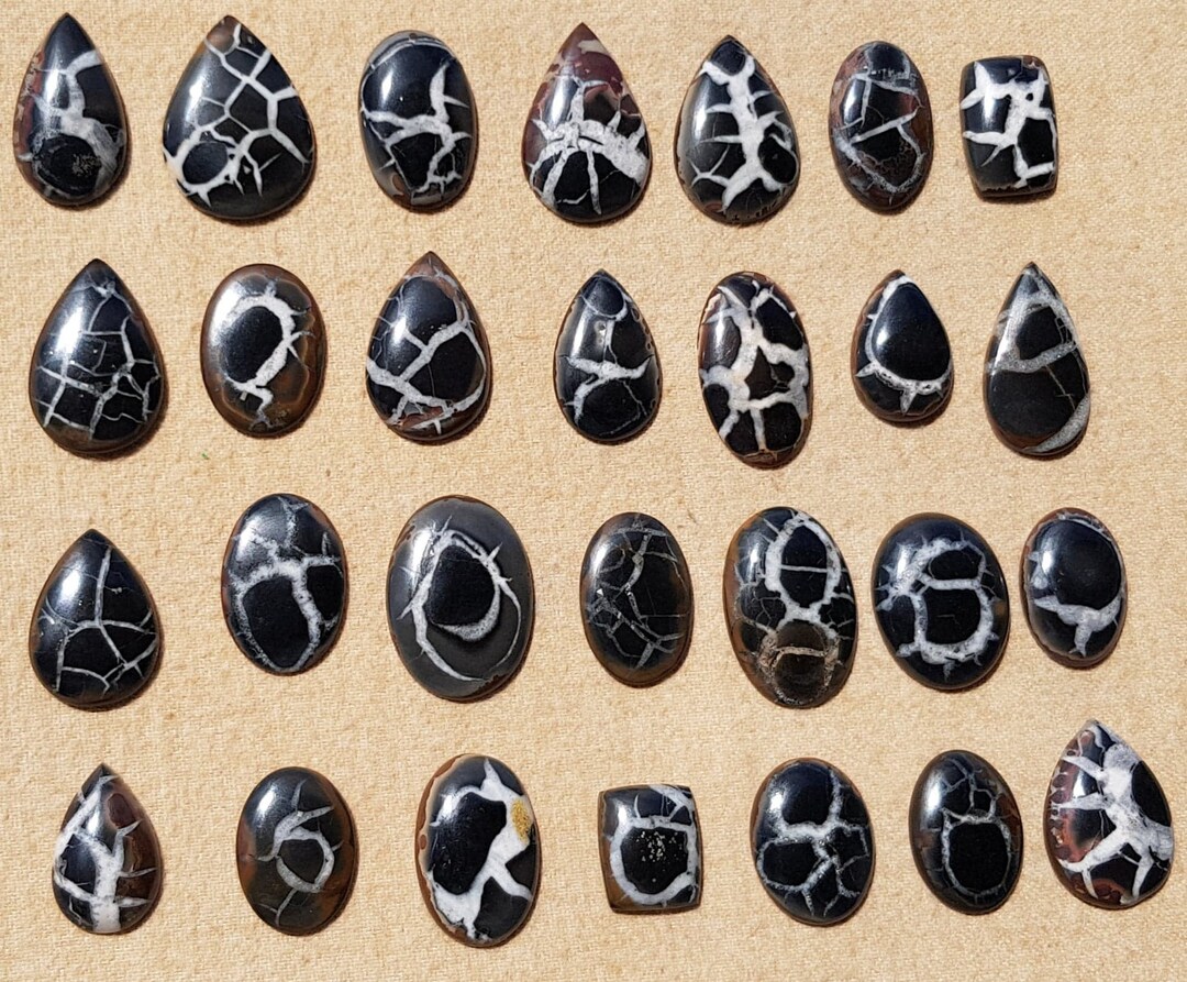 1 Piece Septarian white Aragonite in Limestone Freeform Flat Back ...