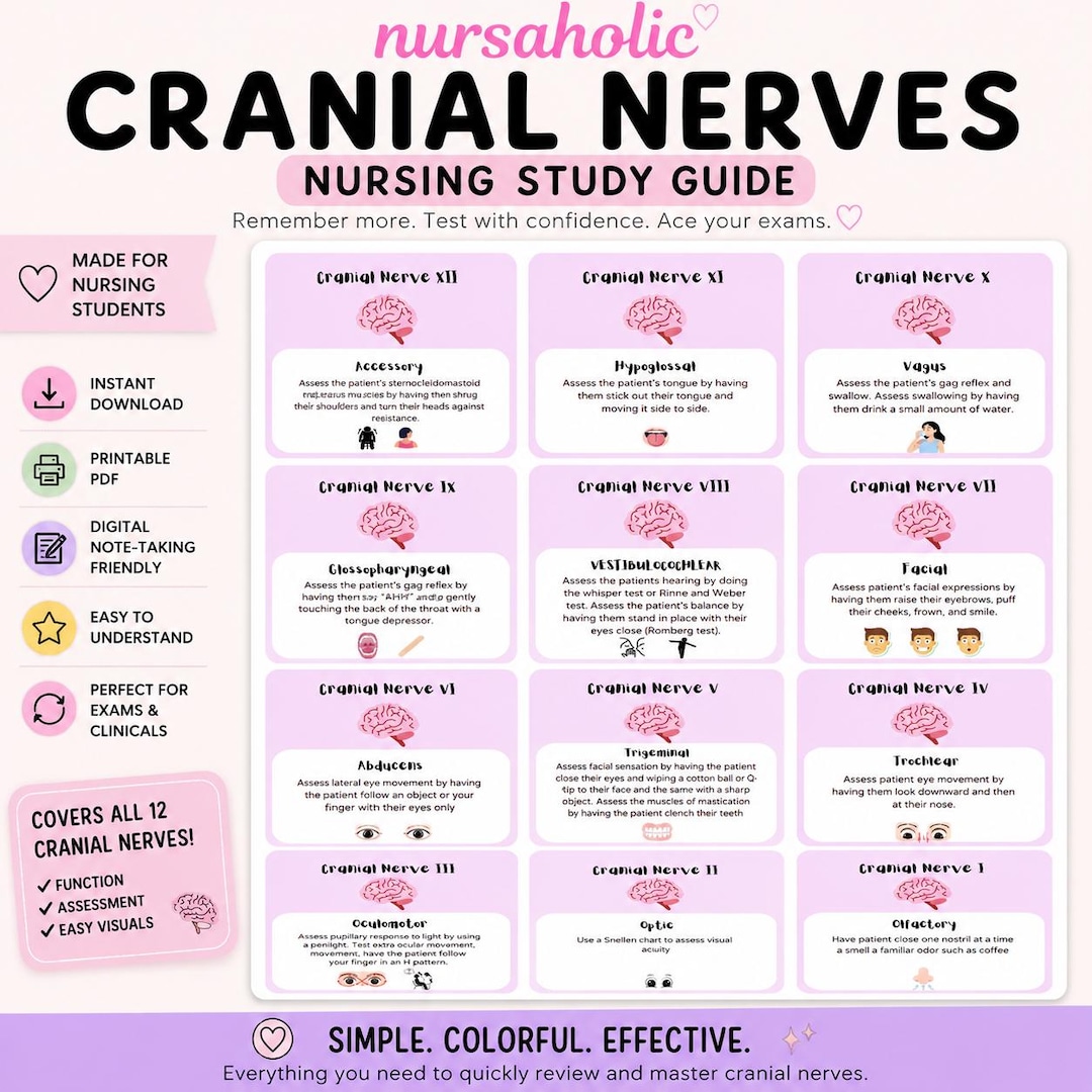 Cranial Nerves Cheat Sheet Nursing | CN I–XII Assessment Guide | Health ...
