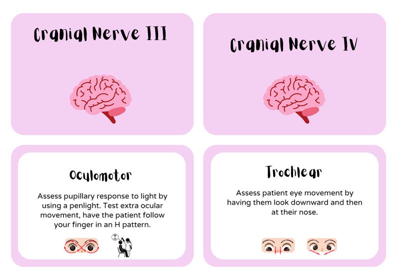 Cranial Nerves Digital Flash Cards | Neuro Nursing Study Guide | NCLEX ...
