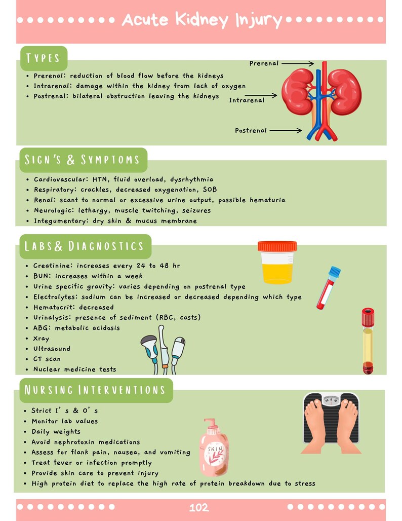 NURSAHOLIC: Urinary Nursing Notes - Etsy