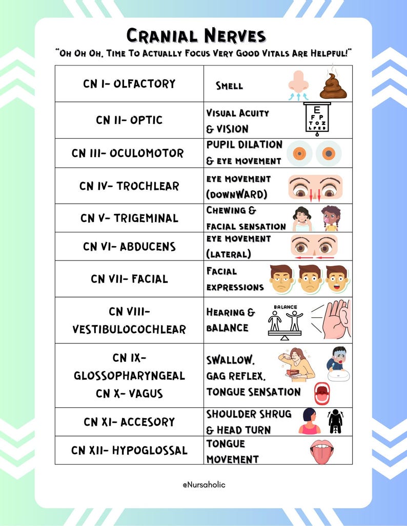 Nursing School: Cranial Nerves - Etsy