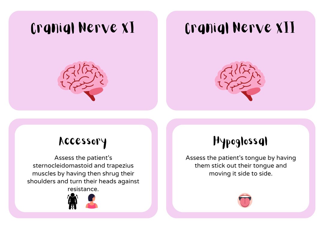 Nursaholic | Cranial Nerve Flashcards - Etsy UK