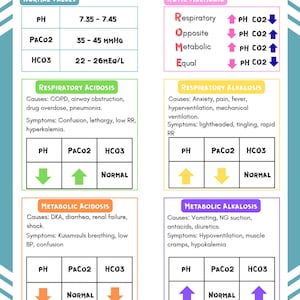 Nursing School: Acid Bace Balance - Etsy